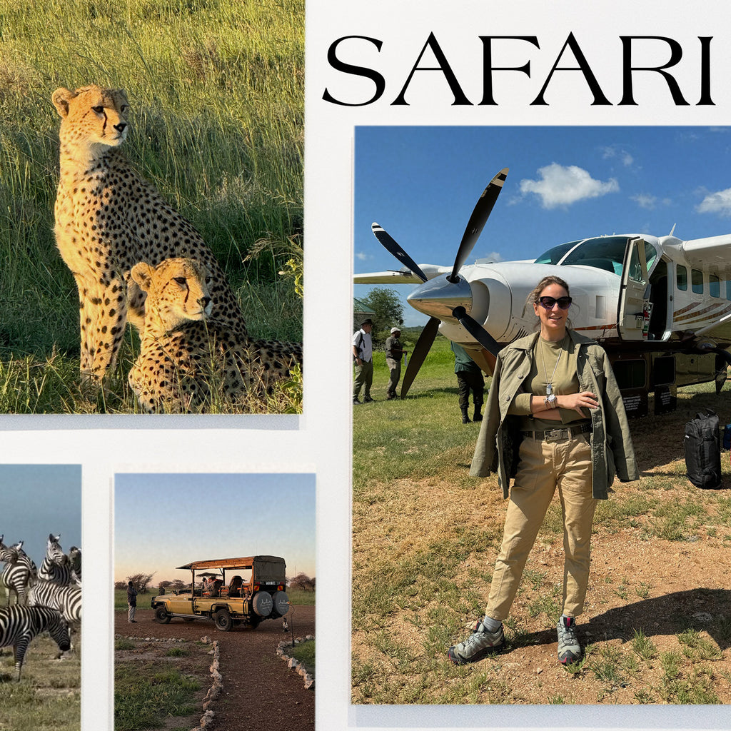 Entdecken Sie die Safari-Welt mit Coralie Charriol - Travel Inspiration